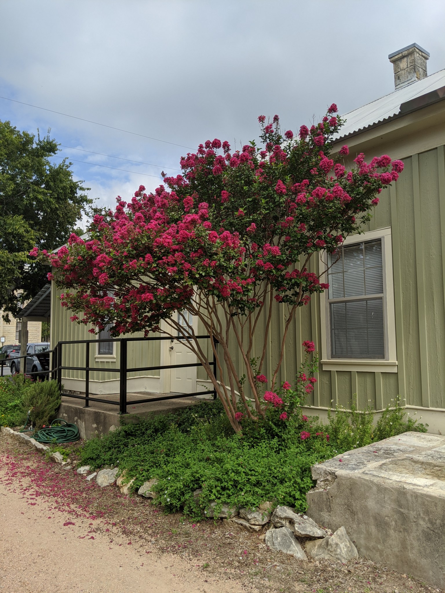 Public Information – Keep Blanco Beautiful